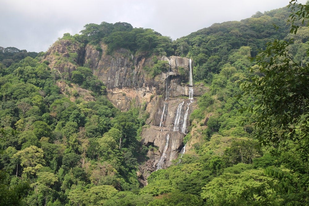 Parque Nacional Saadani | Tanzania Specialist