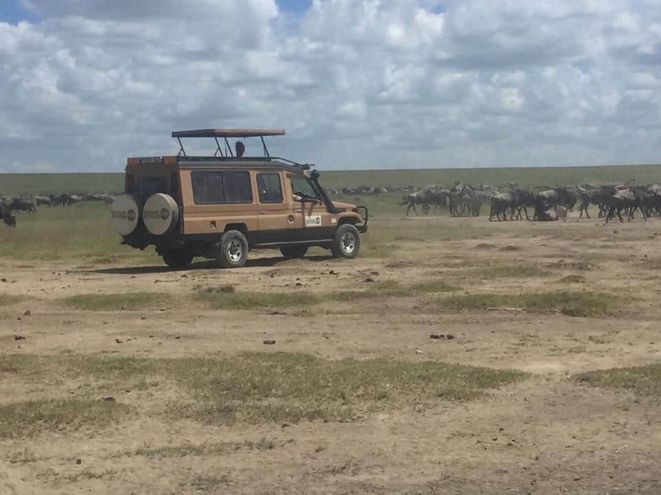 Región Ndutu | ¡Descubre Tanzania con Tanzania Specialist!