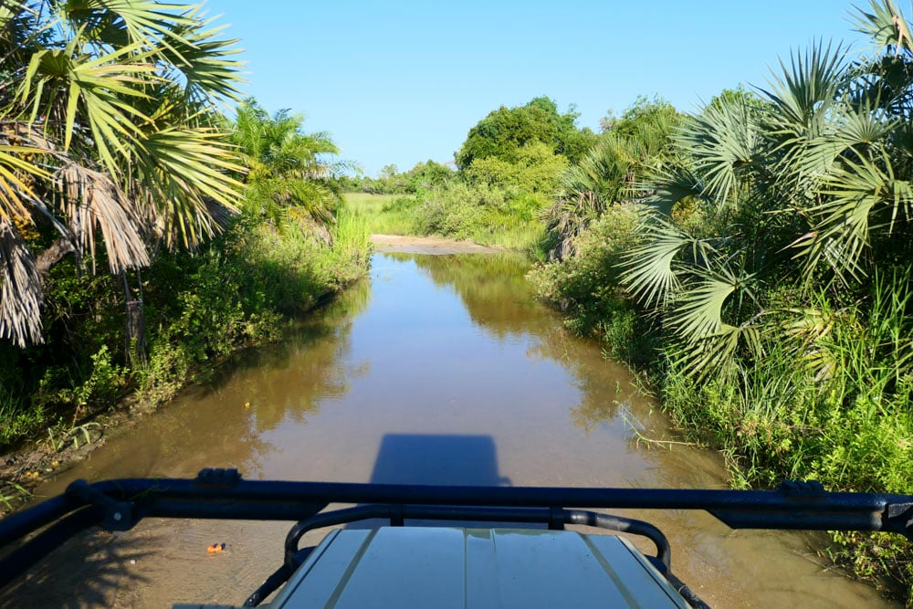 Parque Nacional Saadani | Tanzania Specialist
