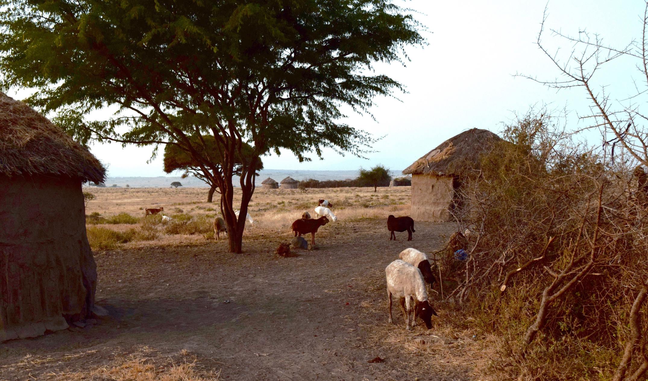 Visita una aldea masái - Tanzania Specialist