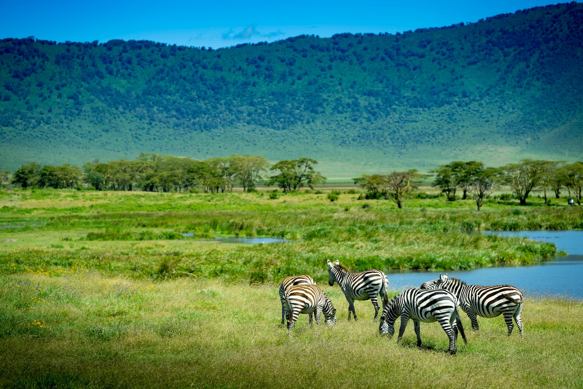 Safari en Tanzania: 16 Días Explorando los Parques del Norte